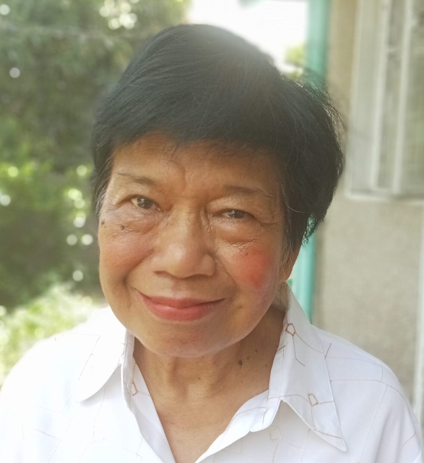 School of Sciences and Engineering | University of Asia and the Pacific